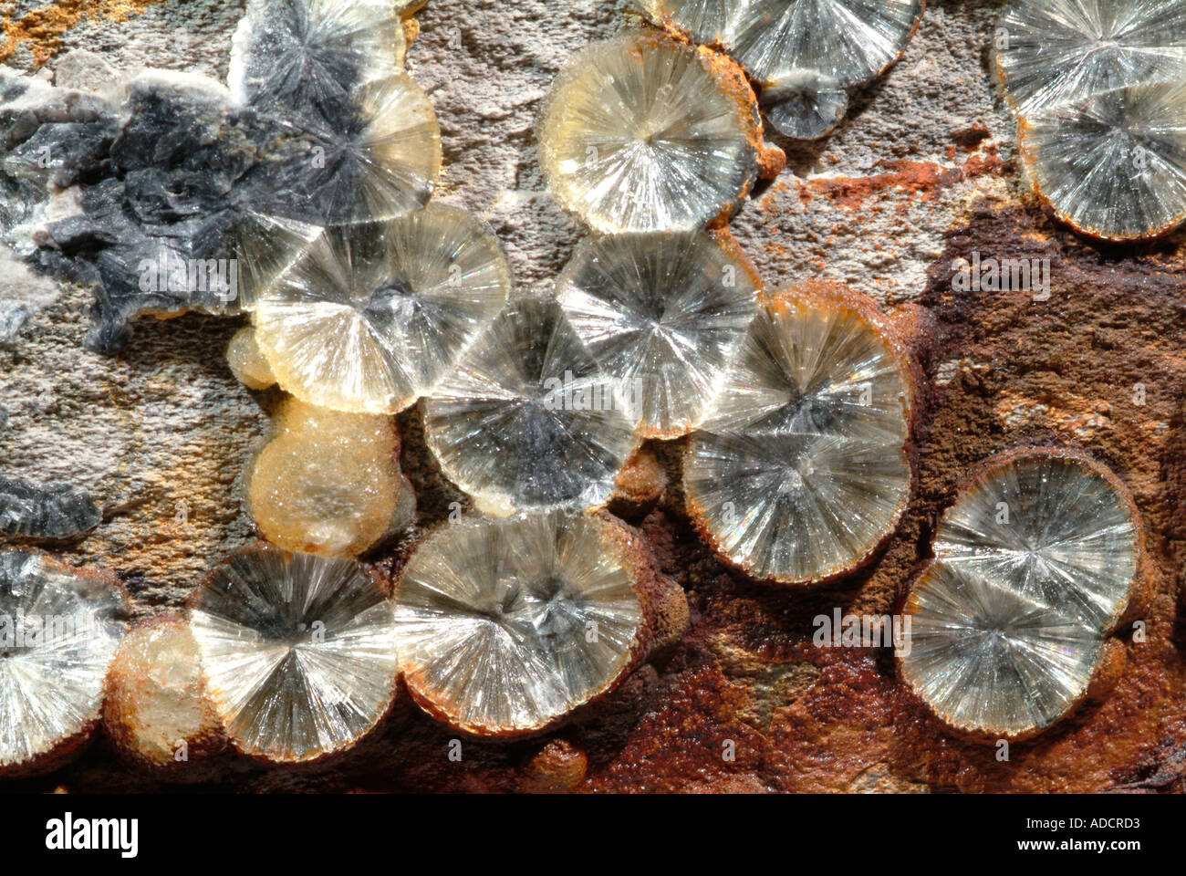 Geological circles hi-res stock photography and images - Alamy