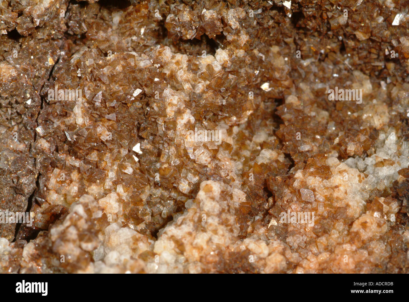 Mineral Carbonate-fluorapatite, Varient Francolite, Francolite crystals ...