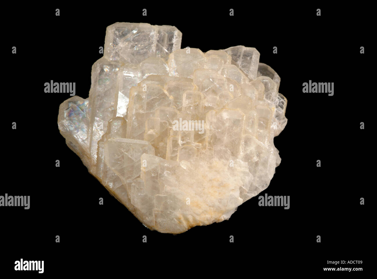 Mineral Baryte, Transparent spade shaped crystals, Carbonate Shake ...