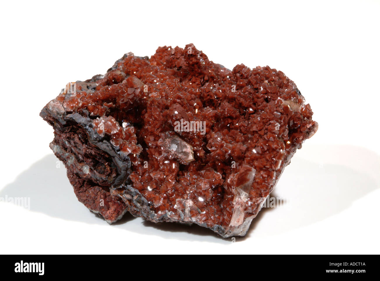 Varient Cut Out Stock Images & Pictures - Alamy