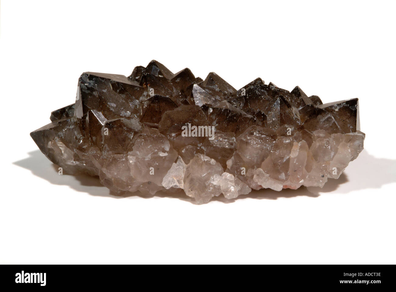 Varient Cut Out Stock Images & Pictures - Alamy