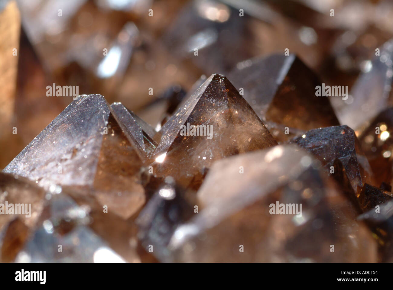 Varient hi-res stock photography and images - Alamy