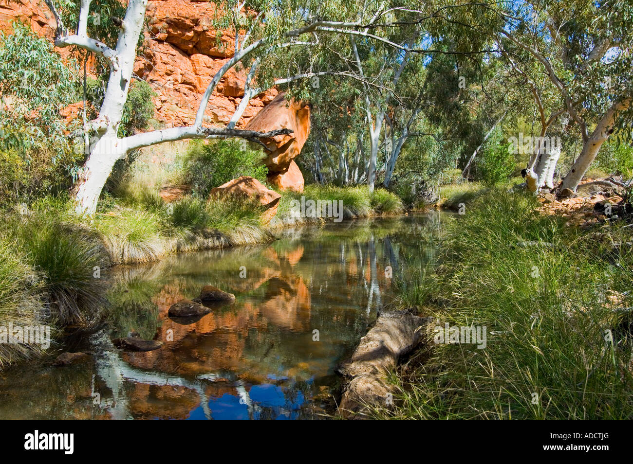 Durba hi-res stock photography and images - Alamy