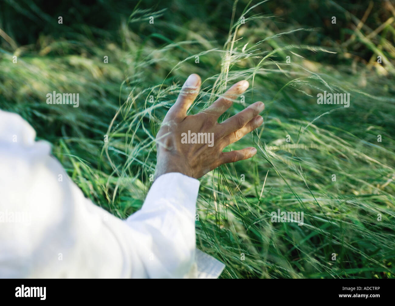 Man touching grass, cropped view of arm Stock Photo - Alamy