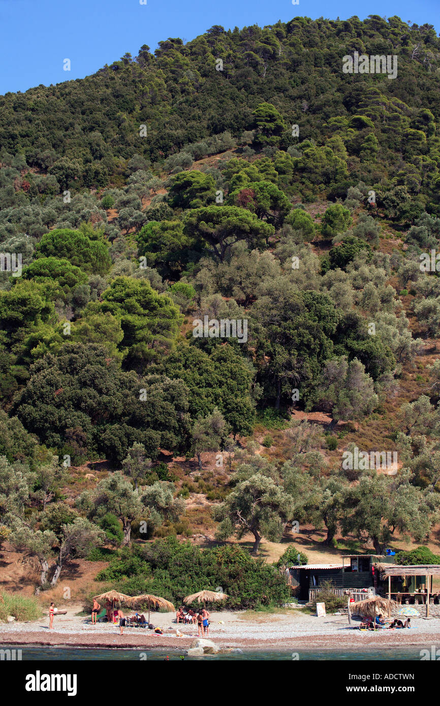 GREECE SPORADES SKIATHOS ISLAND A VIEW OF KECHRIAS BEACH Stock Photo ...