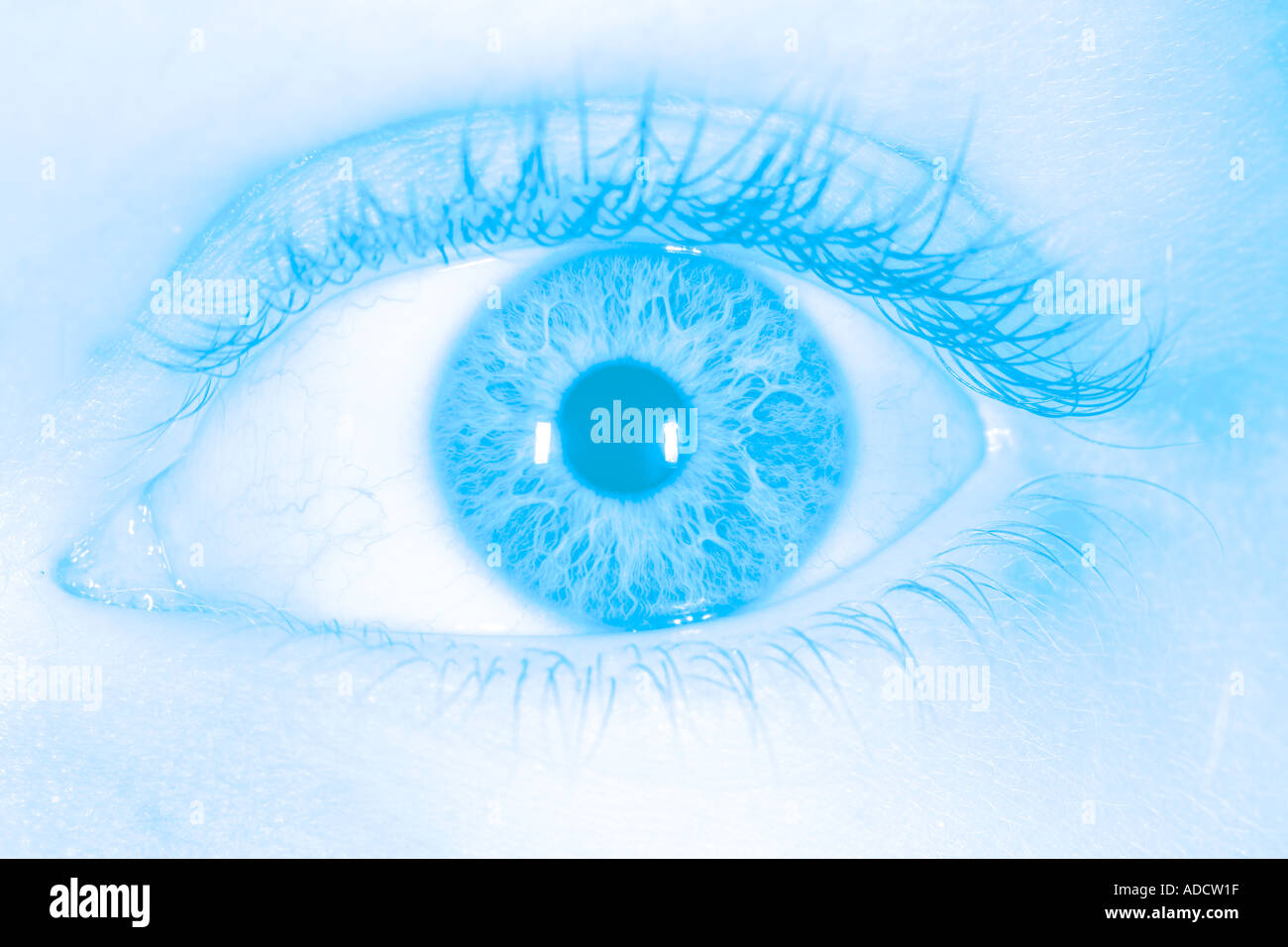 Close-up View of the Eye of a Young Girl Stock Photo - Alamy