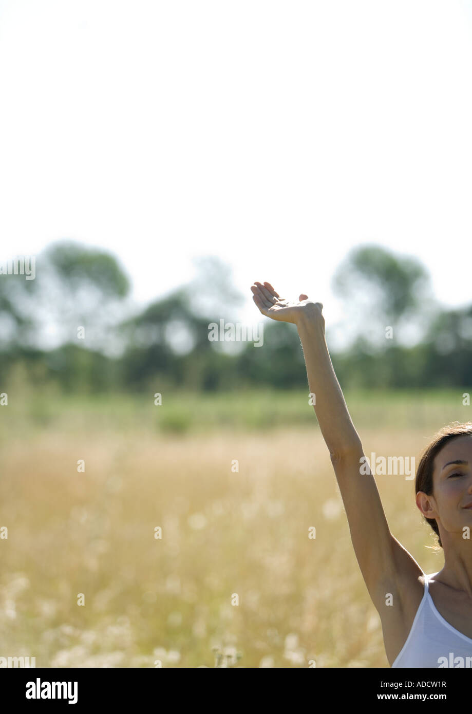 Woman standing in field with arm up, cropped view Stock Photo - Alamy