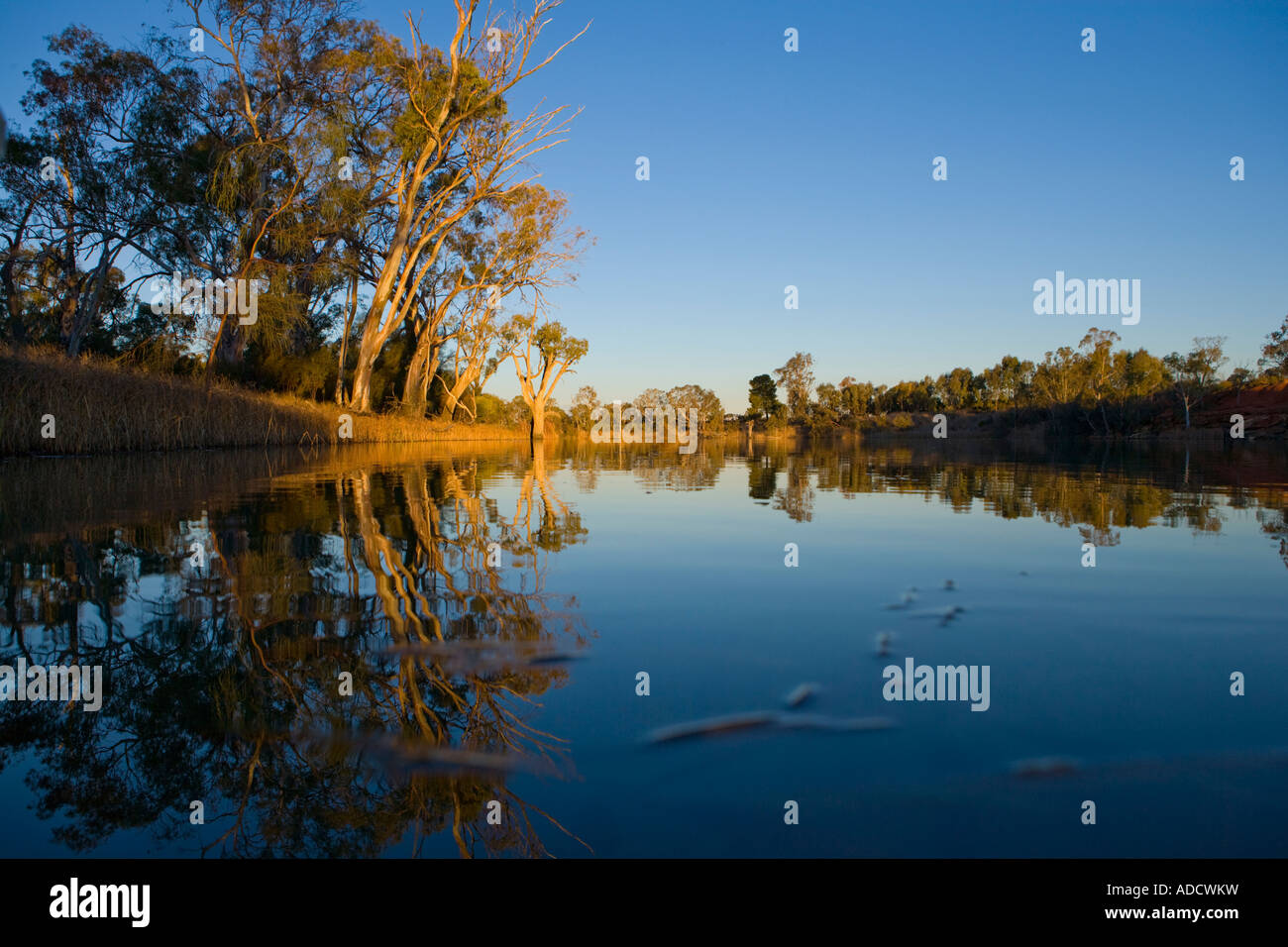 Late afternoon on Murray River near Mildura, Australia Stock Photo - Alamy