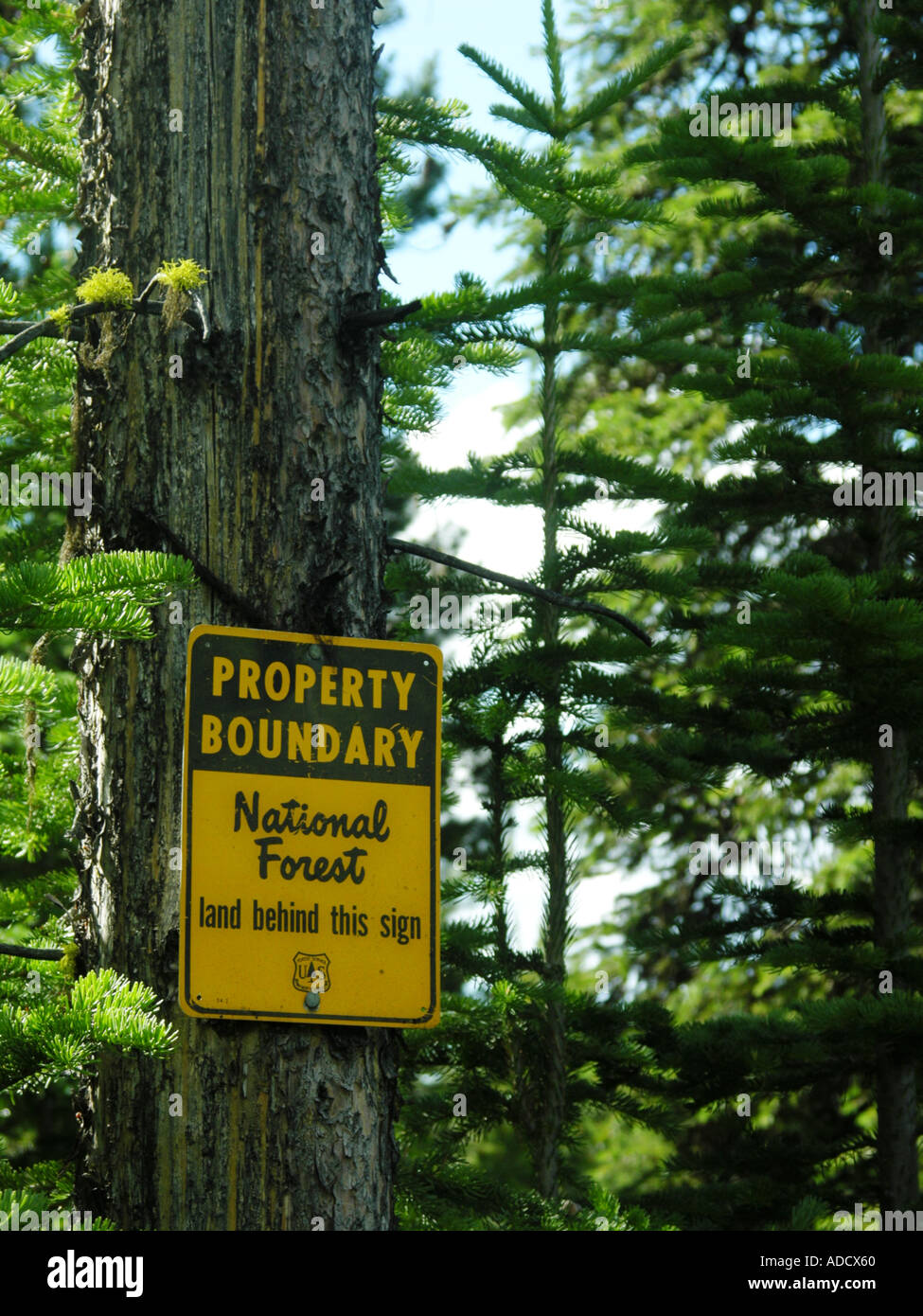 National Forest Service Signs High Resolution Stock Photography and ...