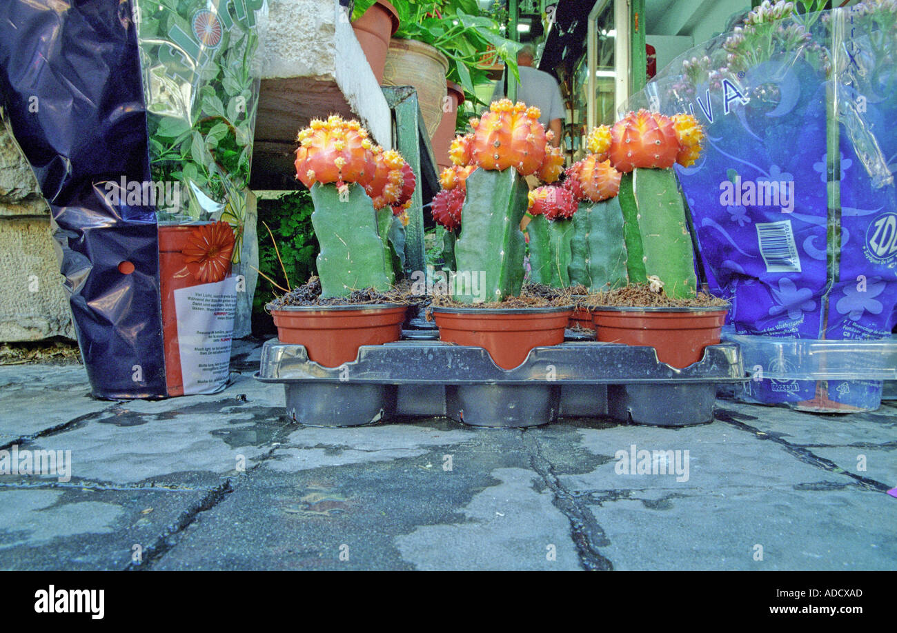 Moshava germanit hi-res stock photography and images - Alamy