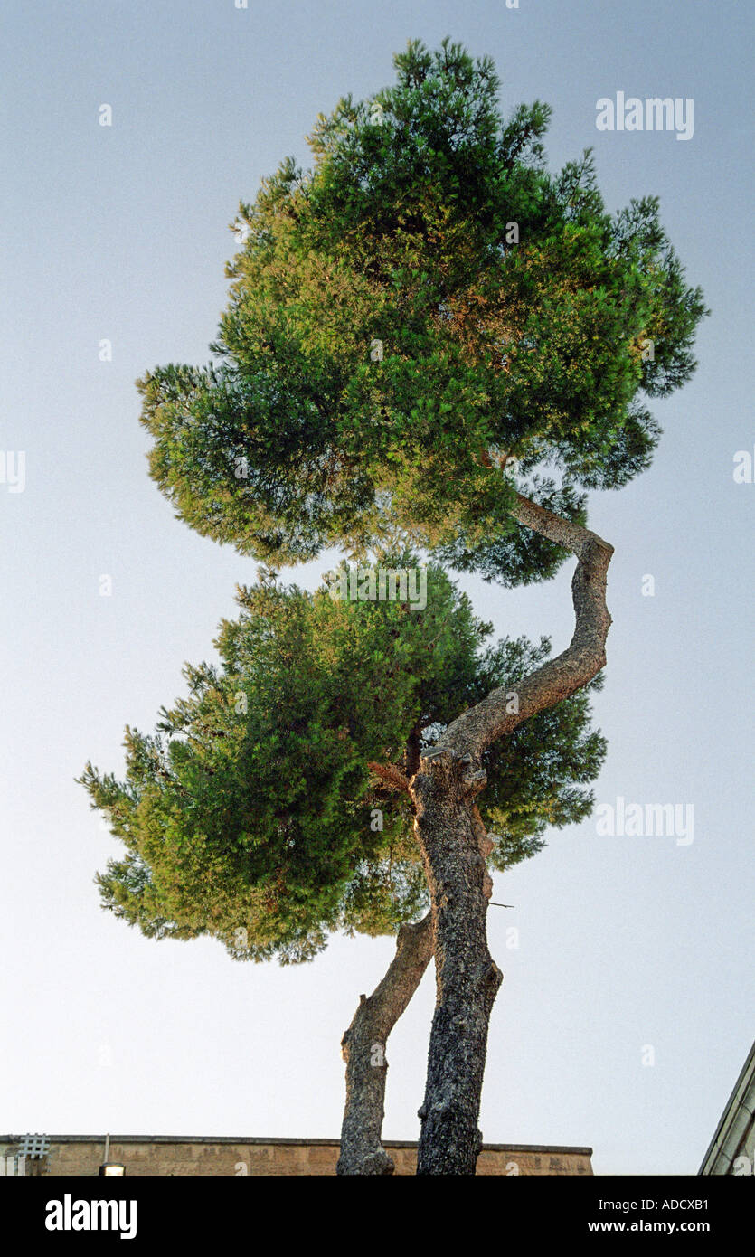 Moshava germanit hi-res stock photography and images - Alamy