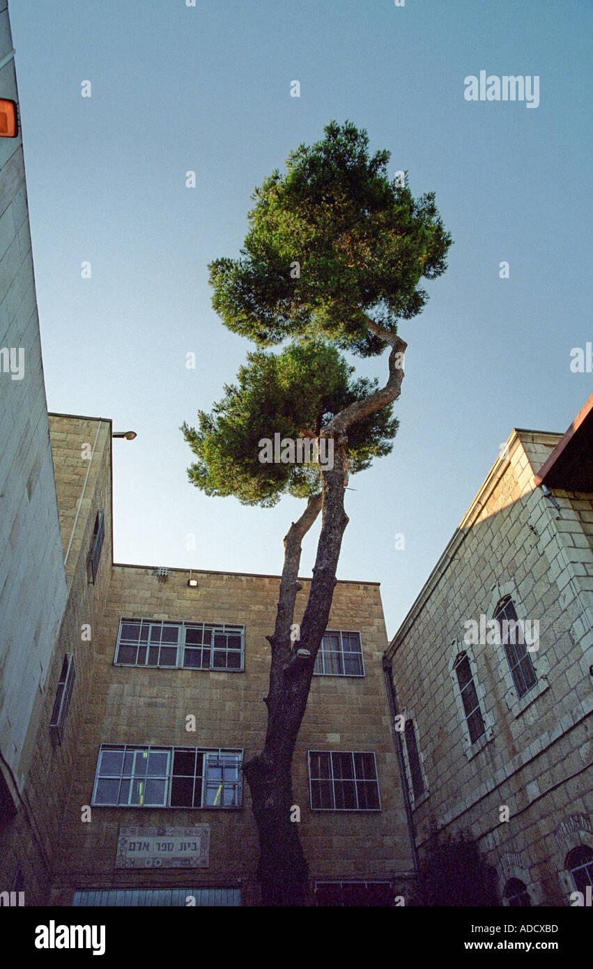 Moshava germanit hi-res stock photography and images - Alamy