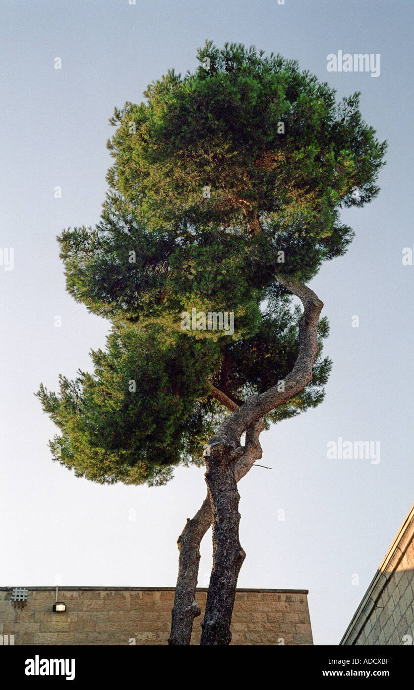 Moshava germanit hi-res stock photography and images - Alamy