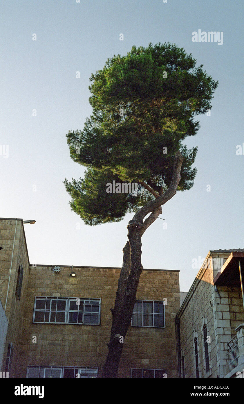 Moshava Germanit 9 Stock Photo - Alamy