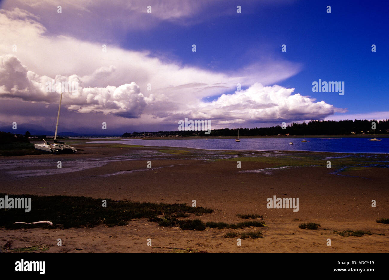 Goose Spit Lagoon, Comox Valley, Vancouver Island, British Columbia ...