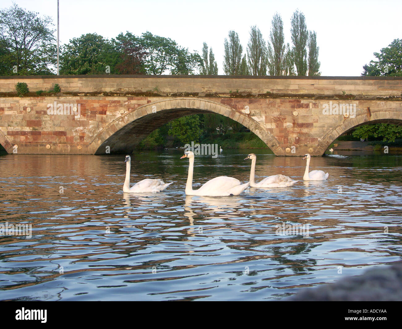 Ladybridge hi-res stock photography and images - Alamy