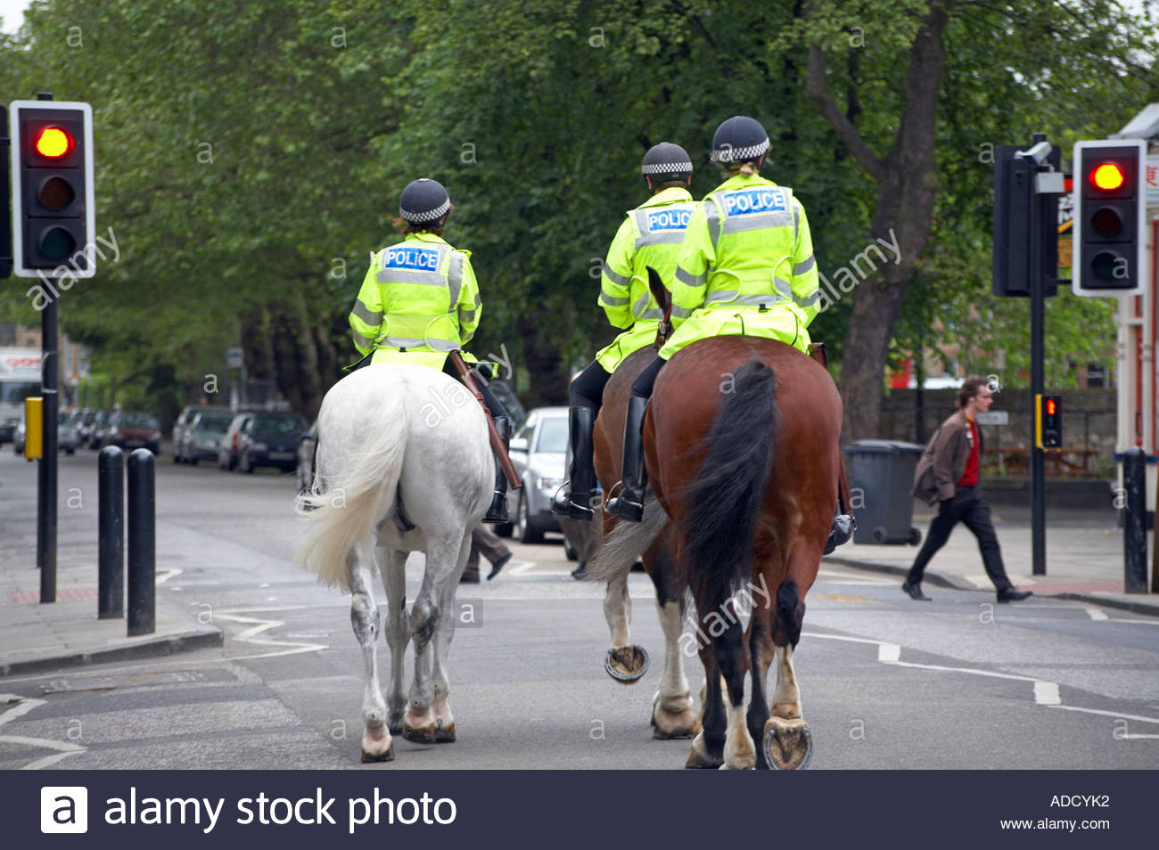 Three mounted police officers waiting at traffic lights Stock Photo - Alamy