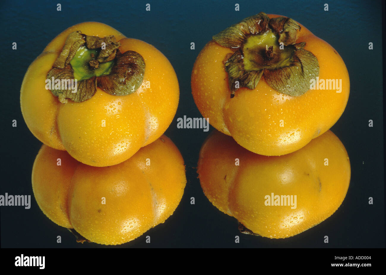 food foods fruit fruits tropical exotic kaki sharon sharonfruit ...