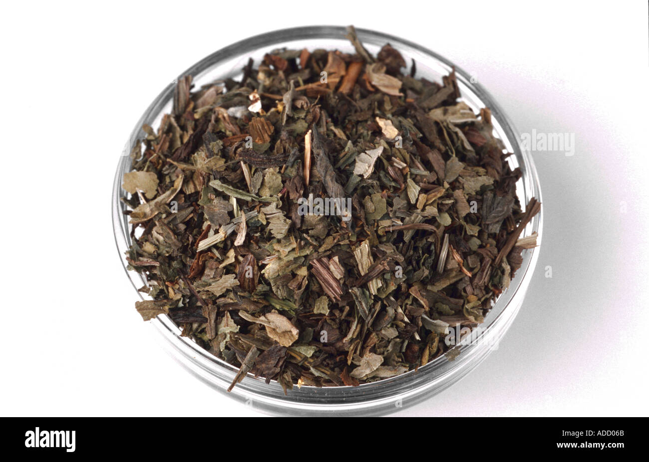 Plantaginis hi-res stock photography and images - Alamy