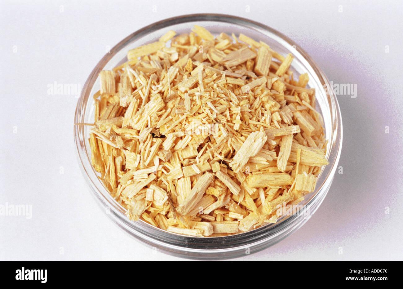 Quassia High Resolution Stock Photography and Images - Alamy