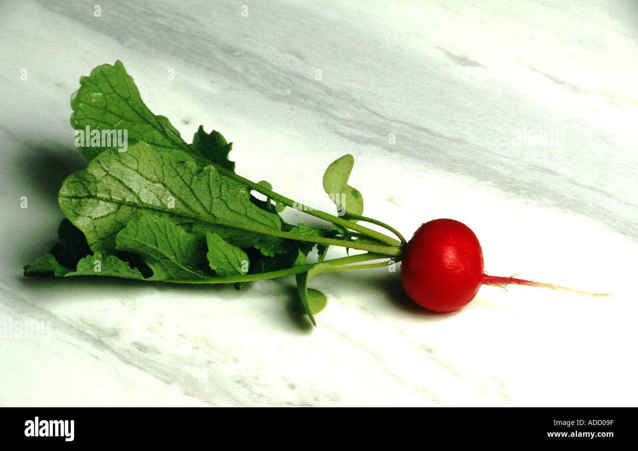 food garden plant radish small red hot radish Stock Photo - Alamy