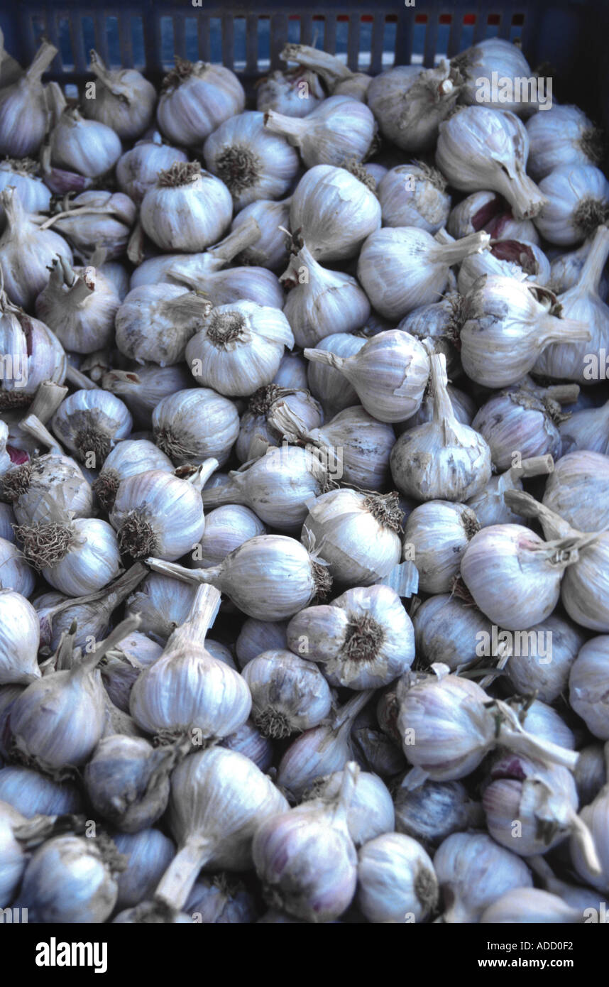 market stall with garlic Stock Photo - Alamy
