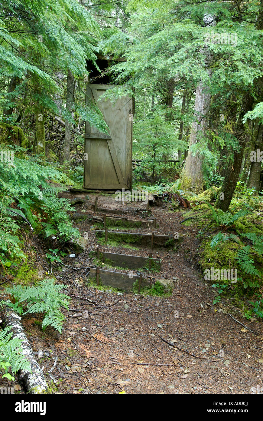 Isolated outhouse in Oregon forest Stock Photo - Alamy