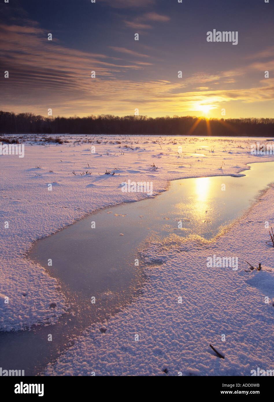 Huntley meadows park hi-res stock photography and images - Alamy