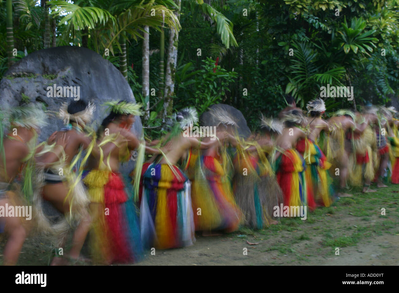 A group of Yapese dancers perform an ancient ritual in front of the ...