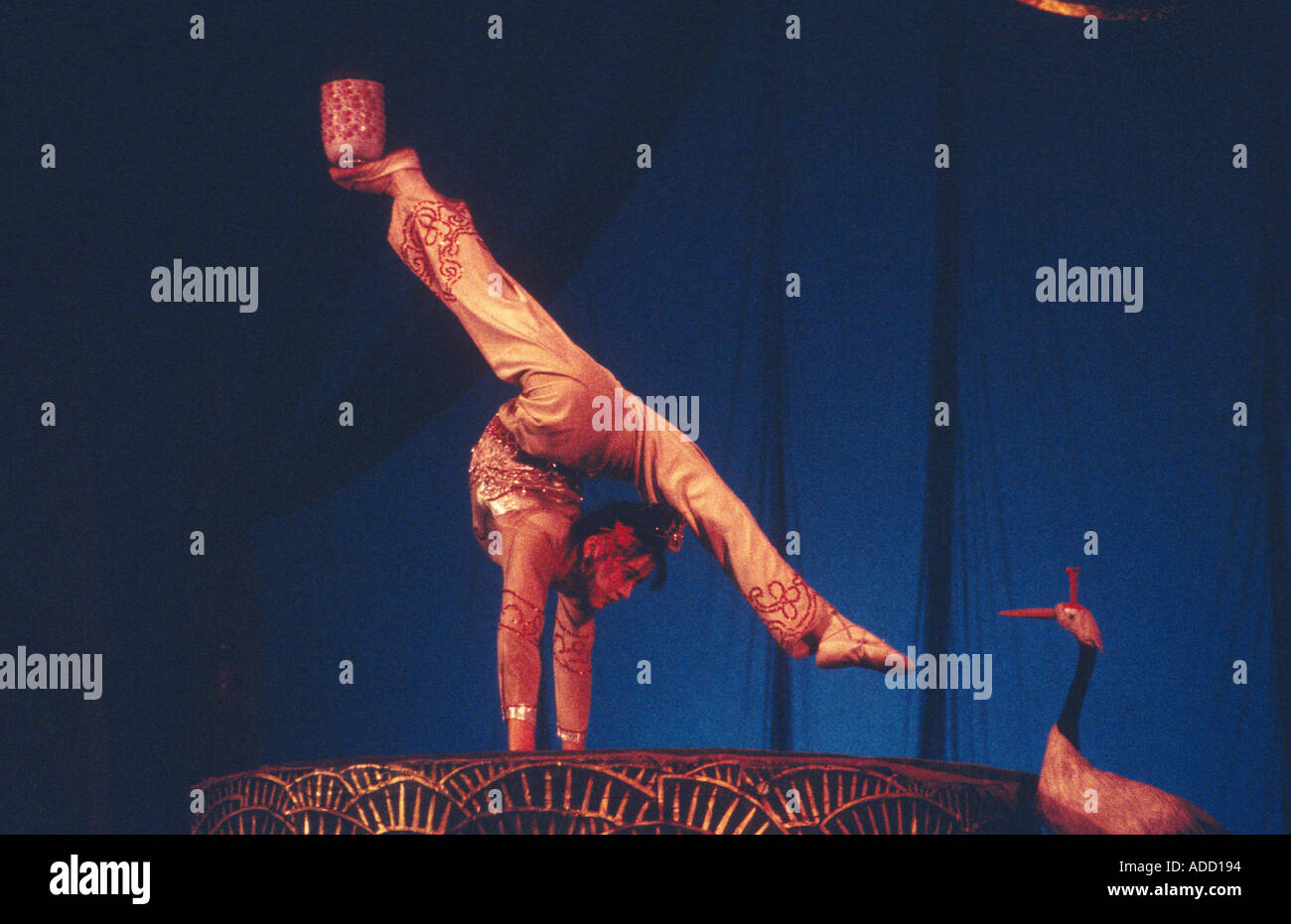 China acrobatic circus hi-res stock photography and images - Alamy