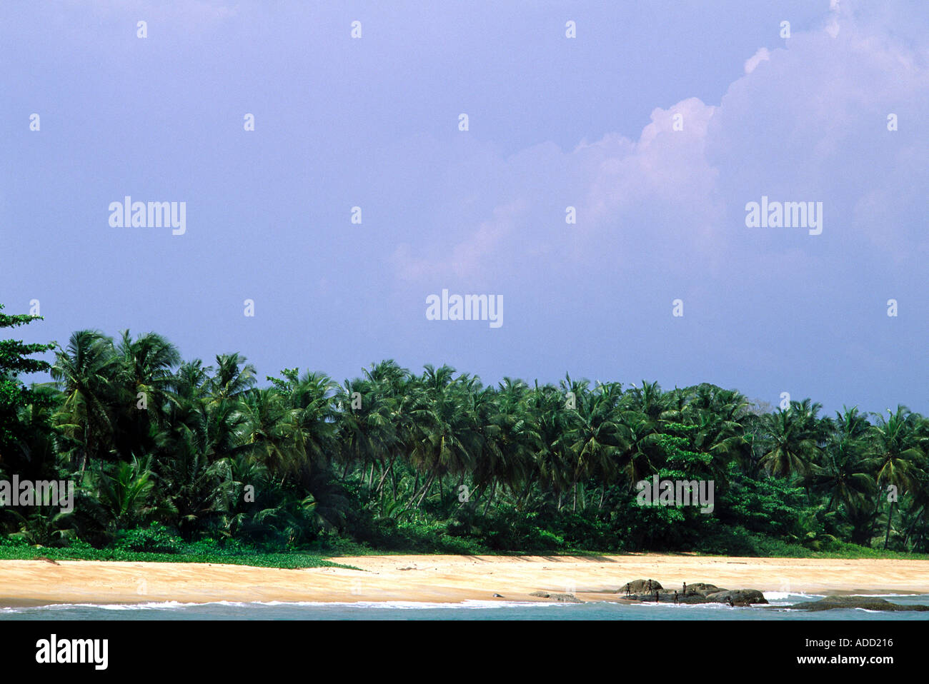 Tropical beach Ivory Coast Stock Photo - Alamy