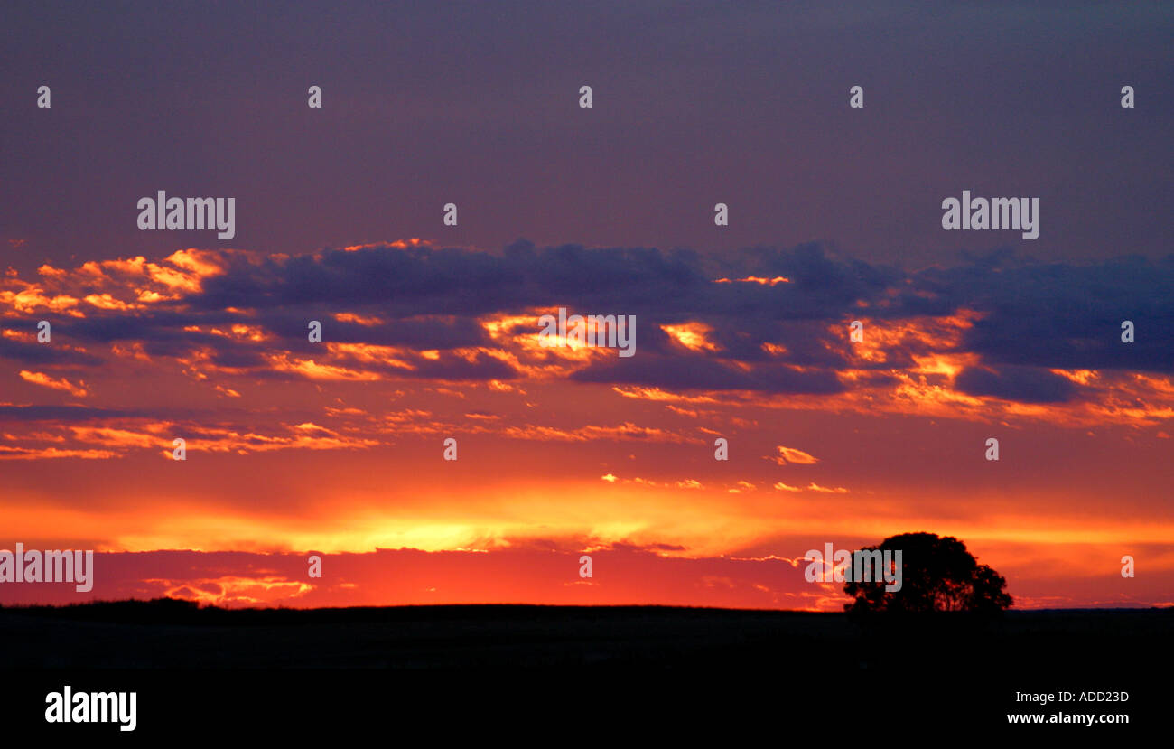Old wives lake saskatchewan hi-res stock photography and images - Alamy