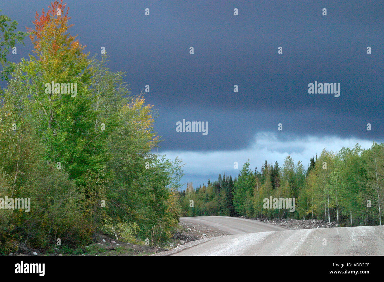 Logging In Saskatchewan High Resolution Stock Photography and Images ...