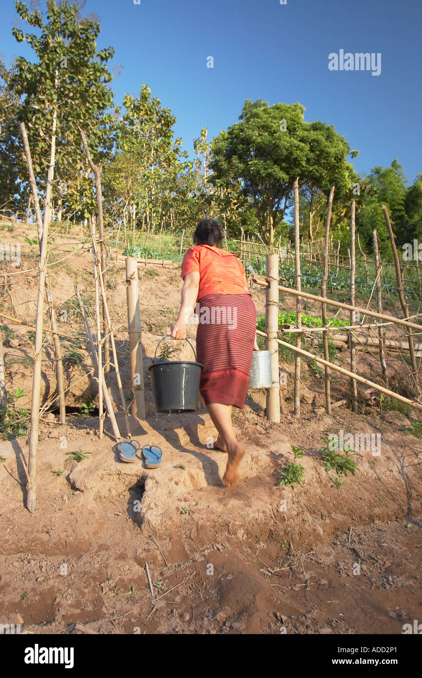 Riverbank planting hi-res stock photography and images - Alamy