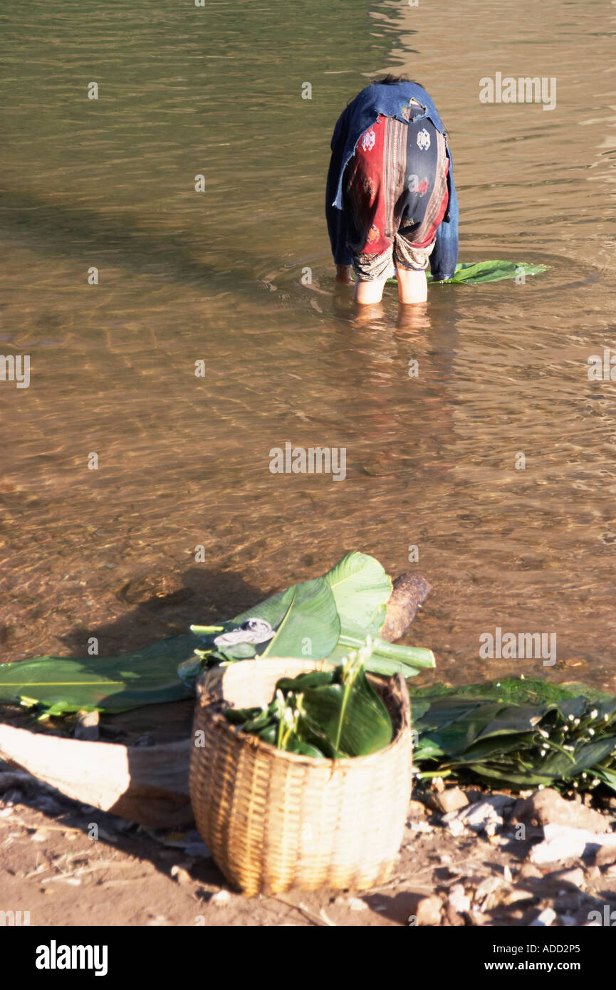 Woman Washing Leaves In Nam Ou River Stock Photo - Alamy