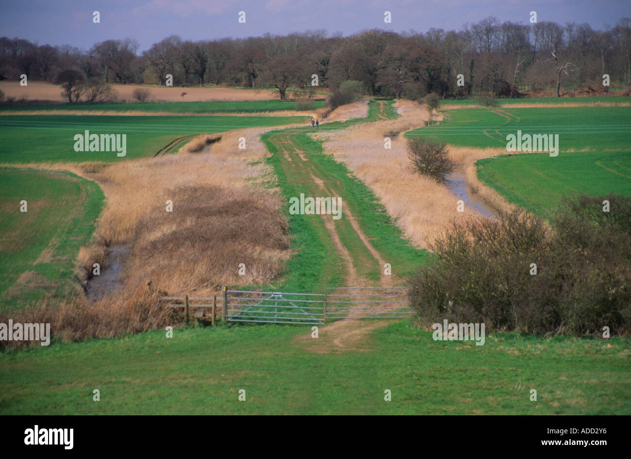 The Thrift, an ancient causeway across marshland to Burrow Hill, Butley ...