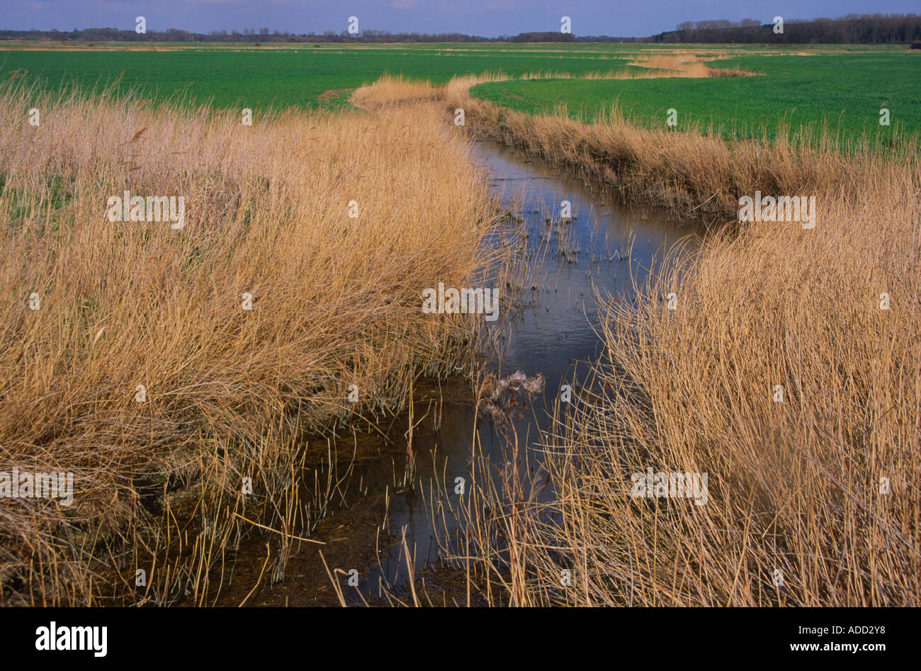 Reclaimed marshland hi-res stock photography and images - Alamy