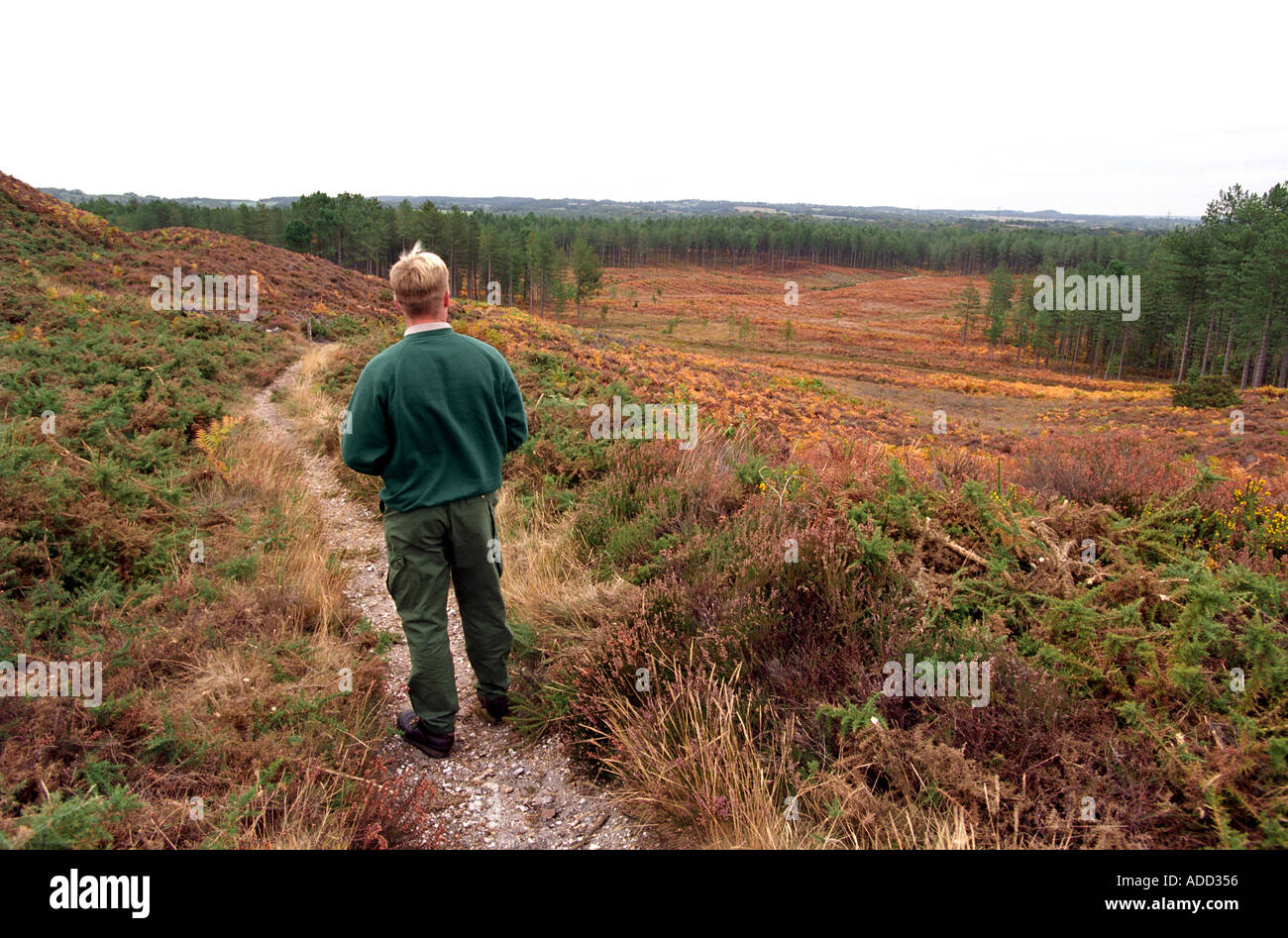 Conservation ranger europe hi-res stock photography and images - Alamy