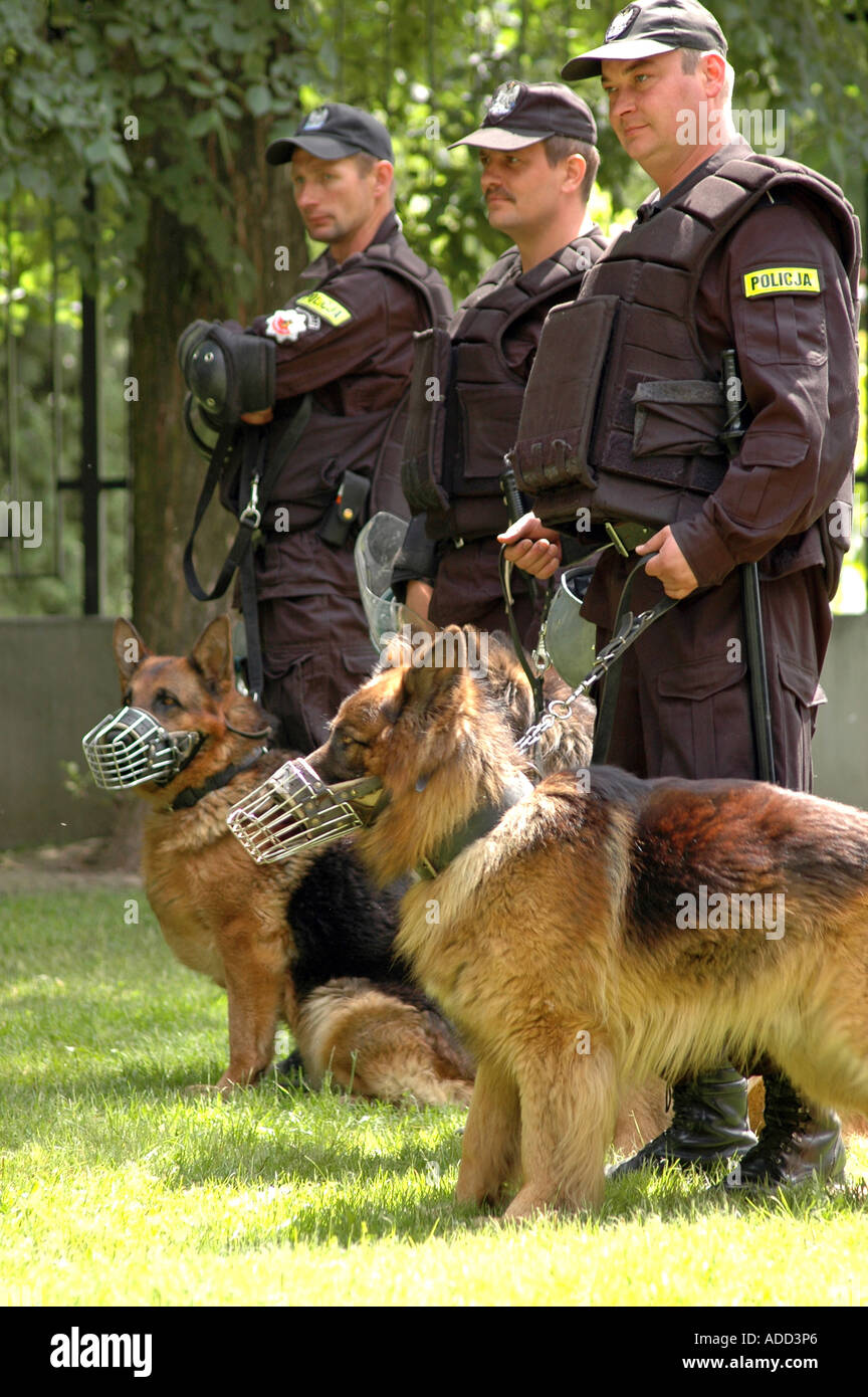 Riot policeman with dog police hi-res stock photography and images - Alamy
