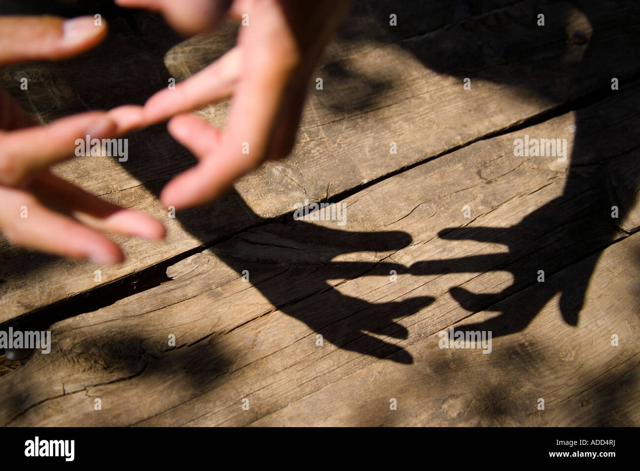 Hand Shadowgraphy High Resolution Stock Photography and Images - Alamy