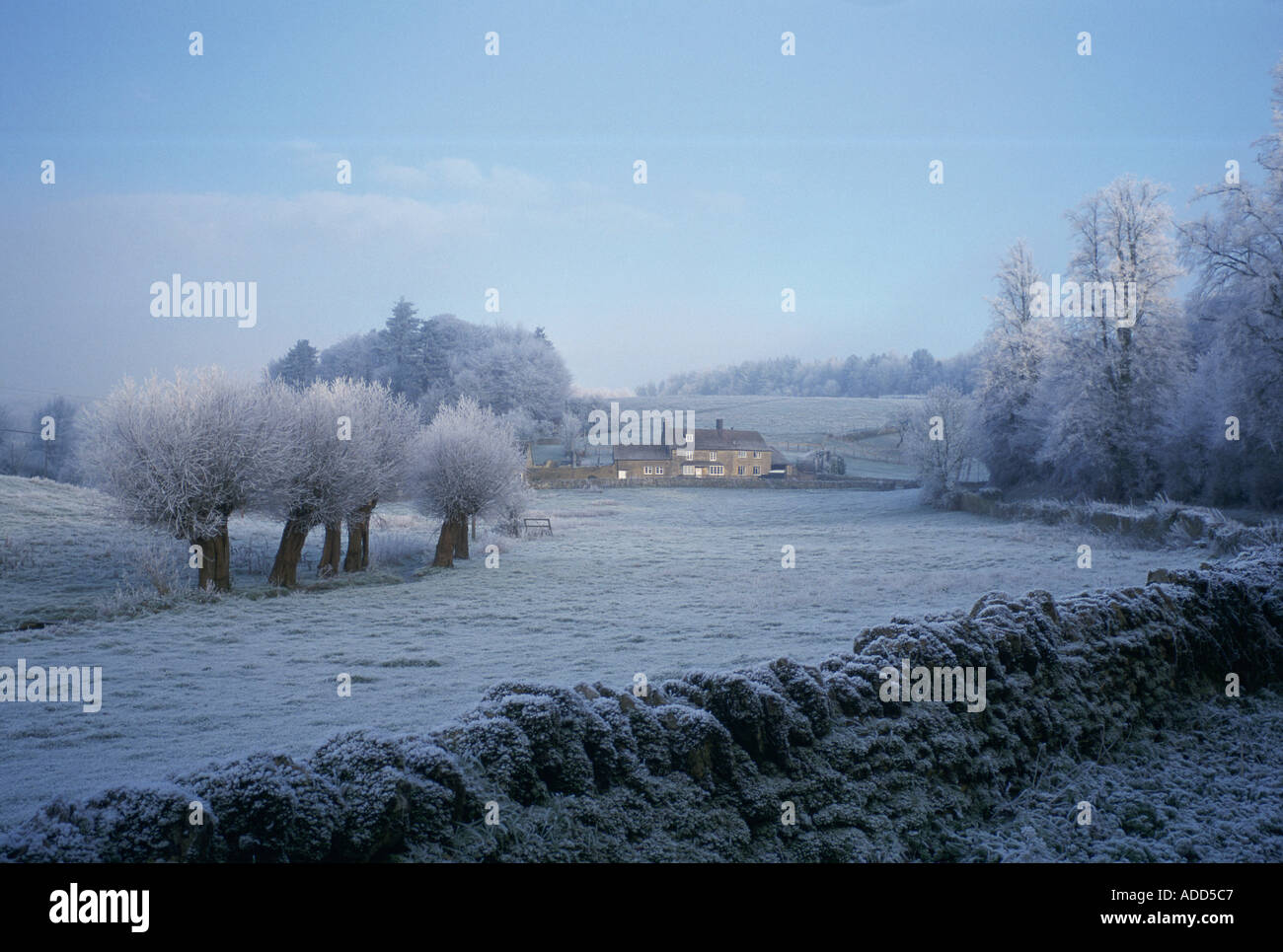 Heavy frost hi-res stock photography and images - Alamy