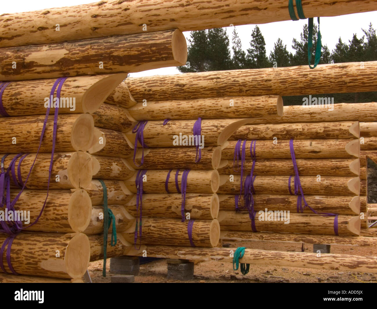 Log cabin under construction hi-res stock photography and images - Alamy