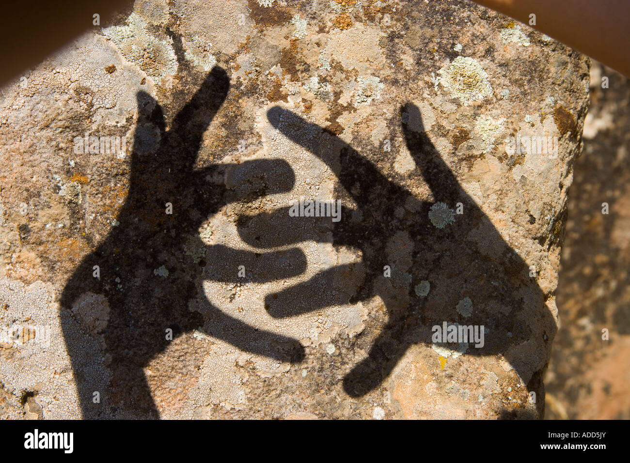 Female hands casting shadow over mold stained stone Stock Photo - Alamy