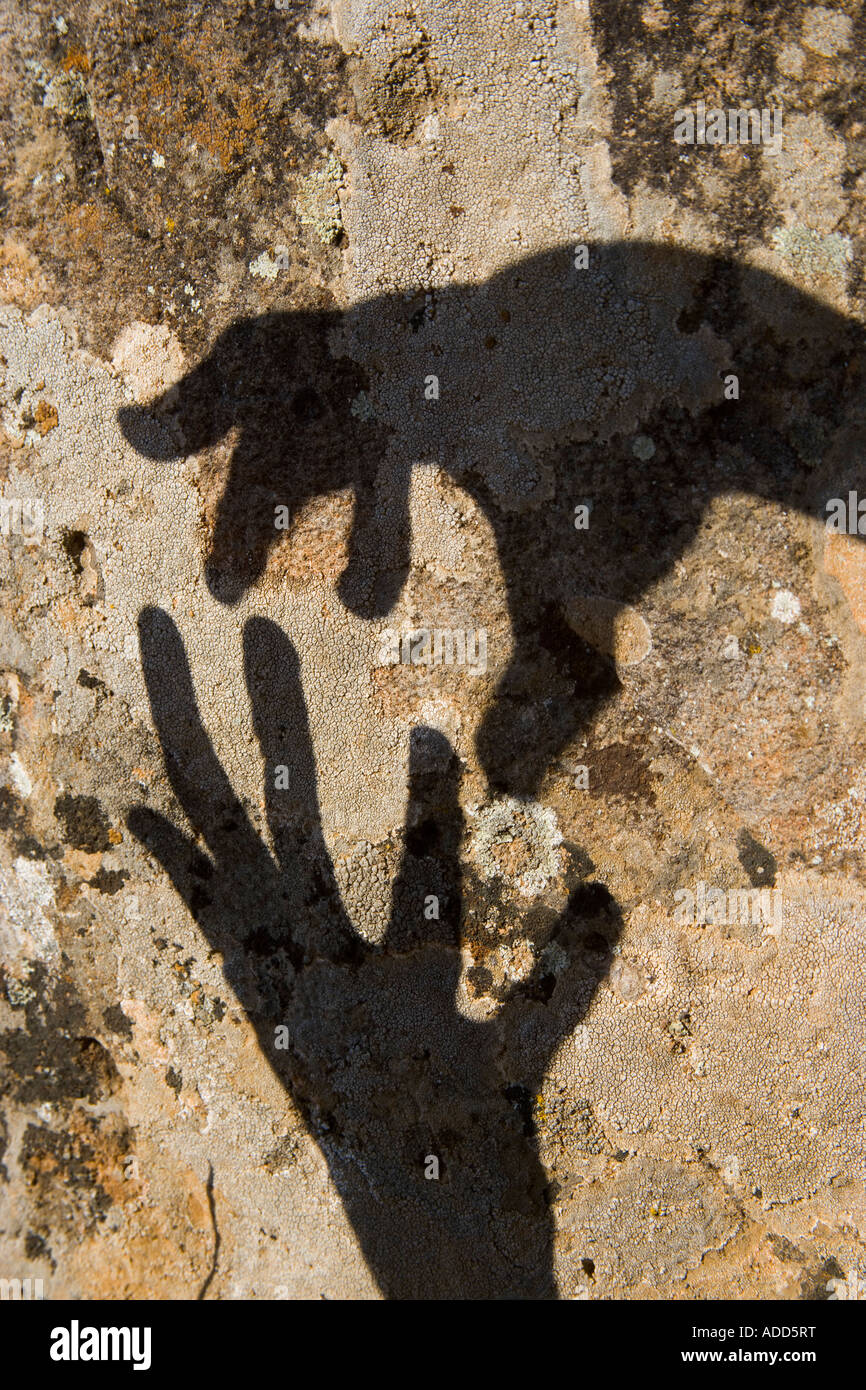 Female hands casting shadow over mold stained stone Stock Photo - Alamy