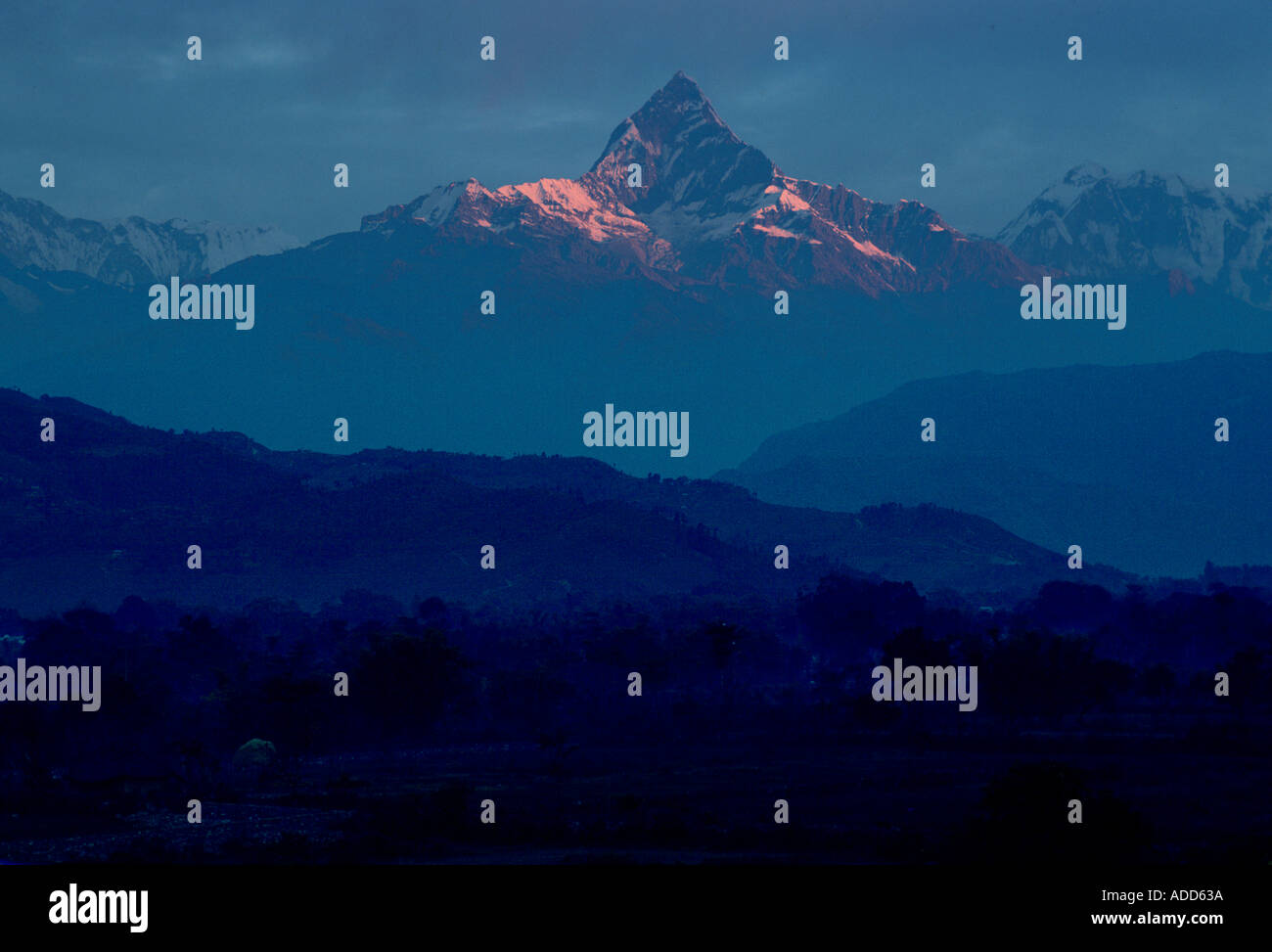 Fish Tail Mountain Machhapuchhare in the Himalayas Mountains Nepal at ...