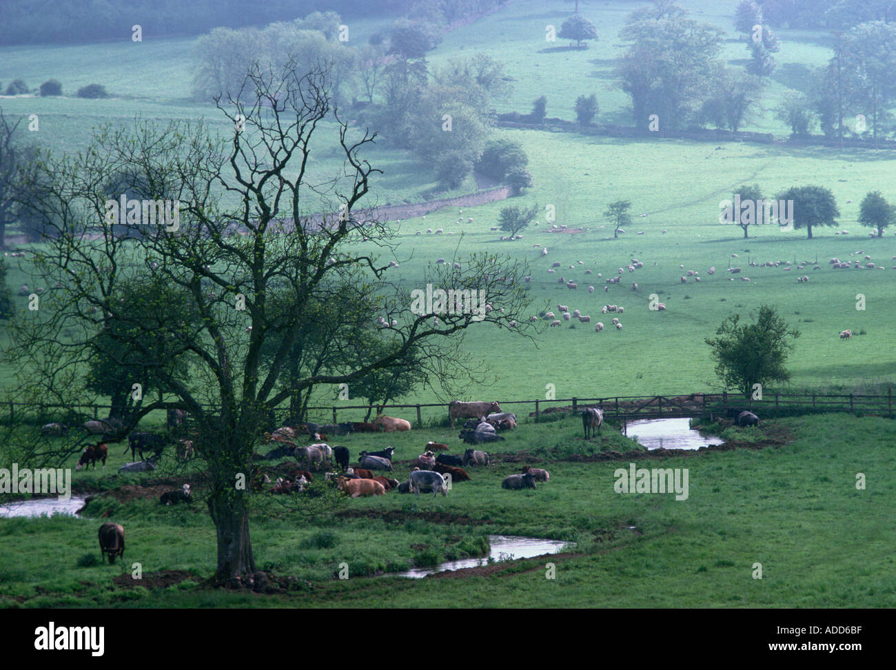 Rural life in england hi-res stock photography and images - Alamy