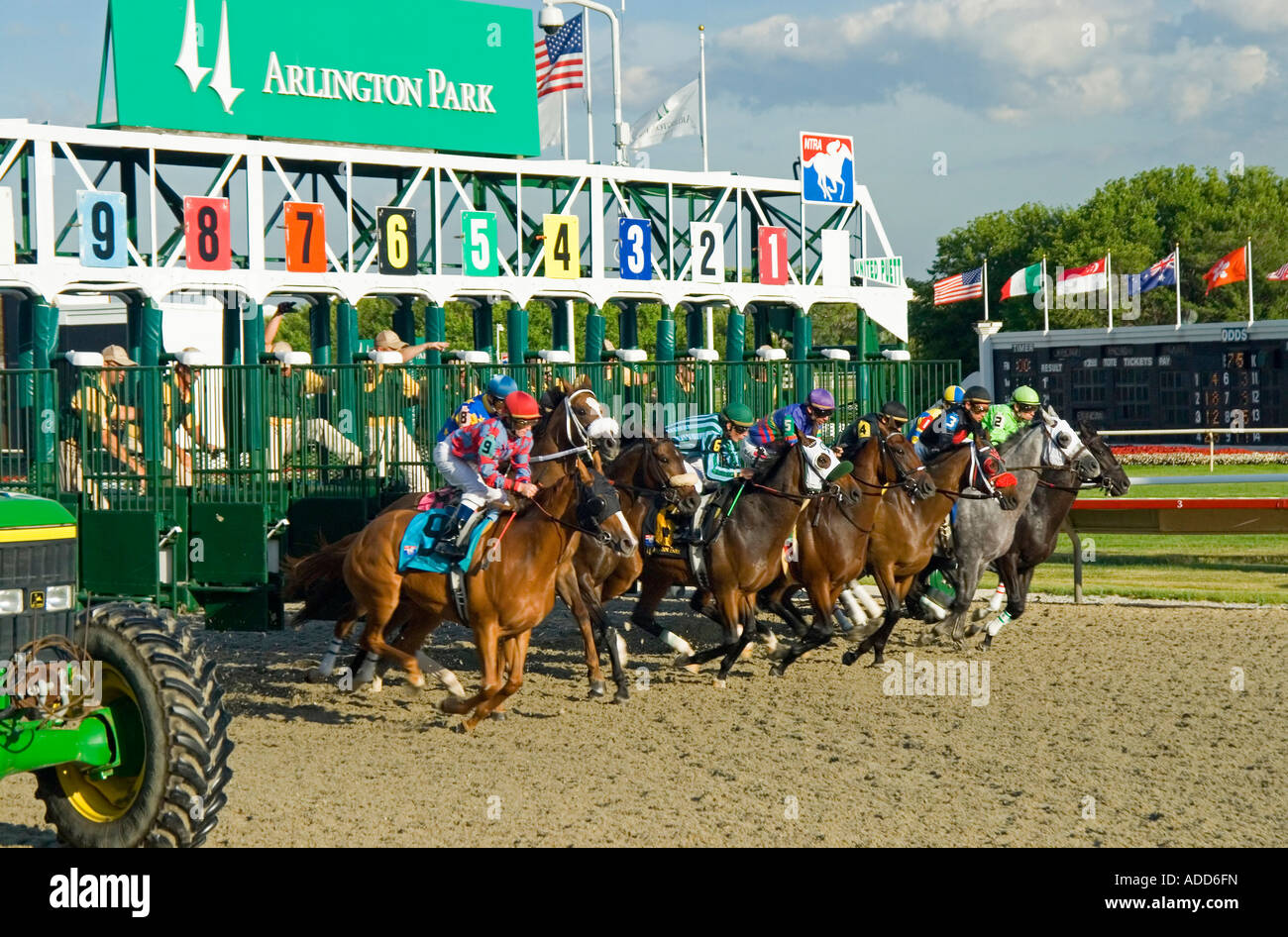 Thoroughbred race horse starting gate hi-res stock photography and ...