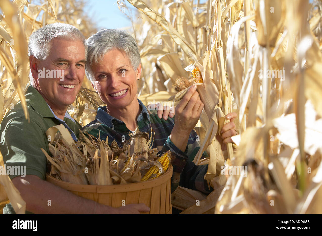 Senior woman smiling picking vegetables hi-res stock photography and ...