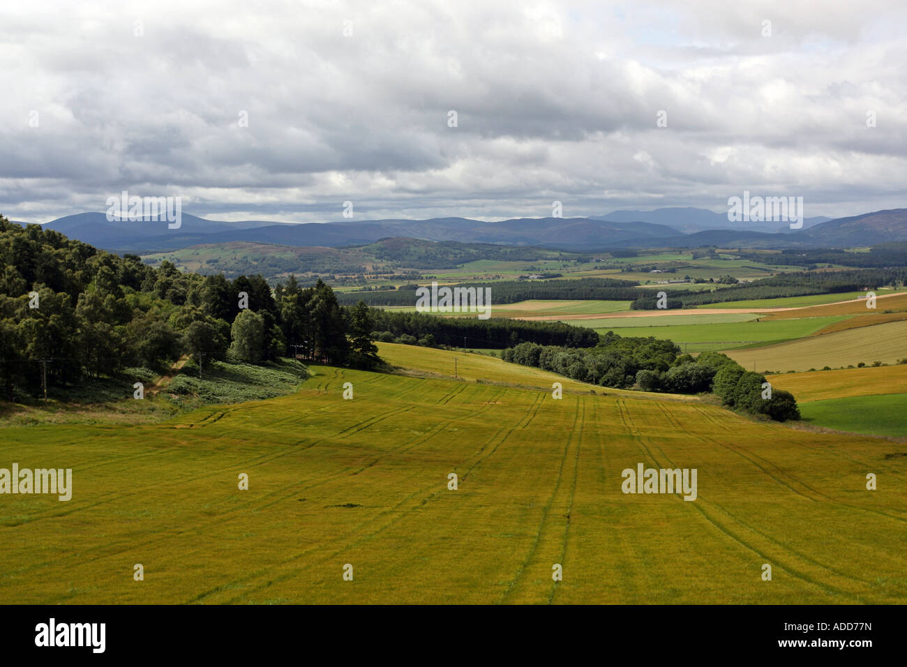 The Queen's View near Tarland, Aberdeenshire, Scotland, UK, overlooking ...