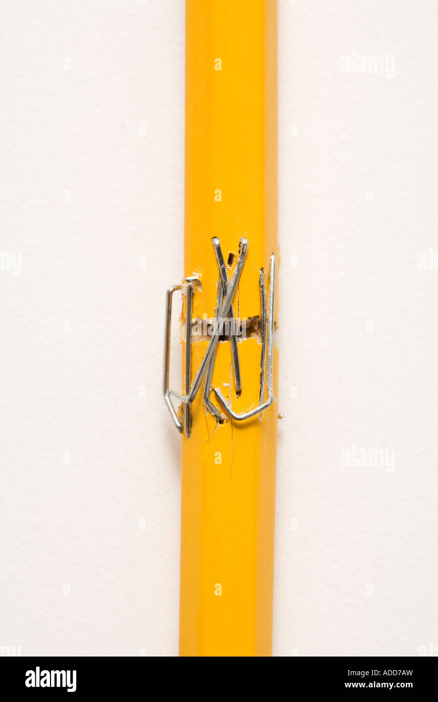Stapled Together Stock Photos & Stapled Together Stock Images - Alamy